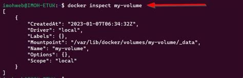Create And Mount Volume To Docker Container Techdirectarchive