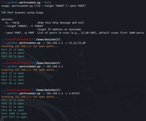 Port Scanning With Scapy A Comprehensive Guide Cyber Security And Programming