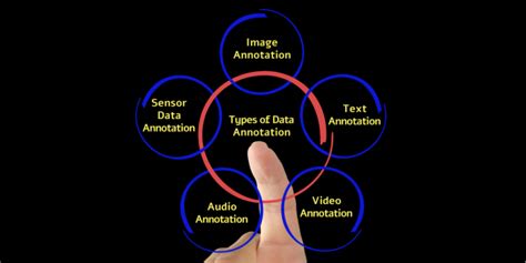 What Is Data Annotation Definition Types Tools Future Trends
