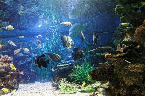 充滿驚喜的海洋公園 每日頭條