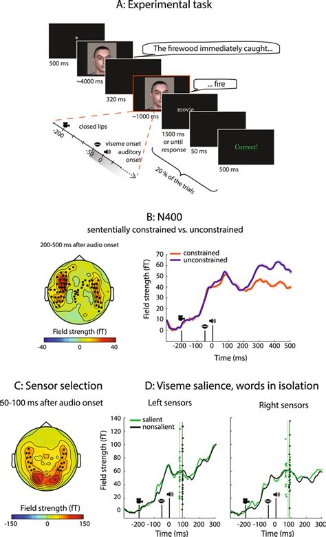 Experimental Task Sensor Selection N400 And Latency Results A