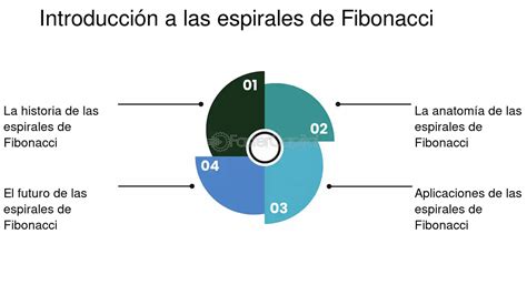 Quien Fue Leonardo Fibonacci Da Pisa La Fascinante Sucesión De