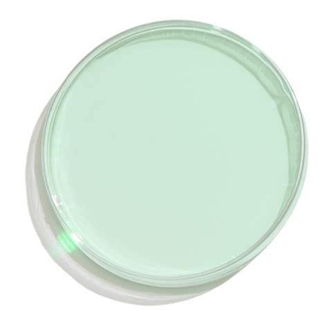 Red Algae Extract Antioxidant And Hydration Benefits Pravada Private