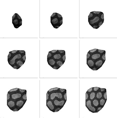 Transient Patterns Of The Solution U Corresponding To The Download