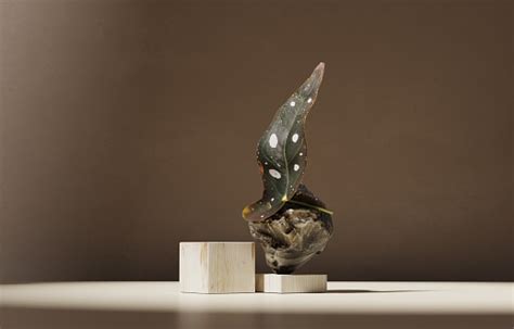 3d 연단 디스플레이 베이지 색 배경 자연 화장품 또는 미용 제품 프로모션 모형 갈색 나무와 돌 단계 받침대 이국적인 도트 식물 잎 그림자 공간 3d 배너를 복사합니다 그림