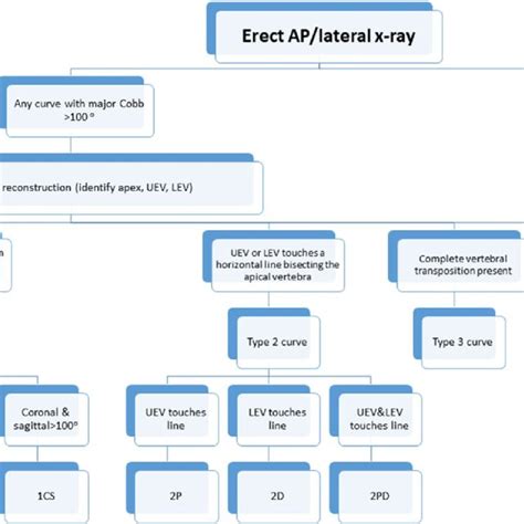 Classification Algorithm Used To Classify Curve Types In This Study