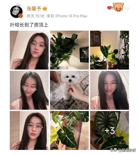 35歲張馨予曬家居美照，戴著金絲眼鏡清純又可愛，臉上洋溢著幸福 每日頭條