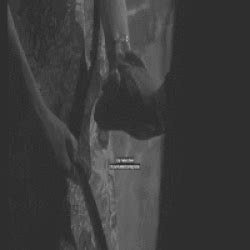 In The Mood For Love Dir Wong Kar Wai