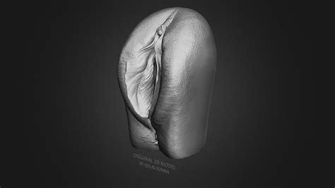 Vulva 3d Models Sketchfab
