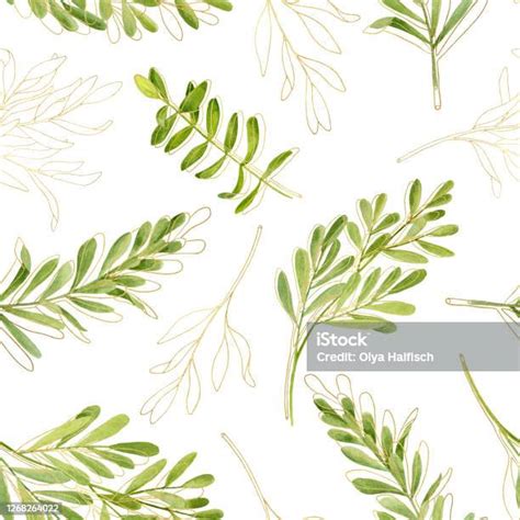 수채화 티 트리는 황금 윤곽이 매끄러운 패턴으로 나뭇잎 멜랄레우카의 손으로 그린 그림 흰색 배경에 고립 된 녹색 식물 화장품 패키지 섬유 카드 장식허브 드로잉에 대한 스톡