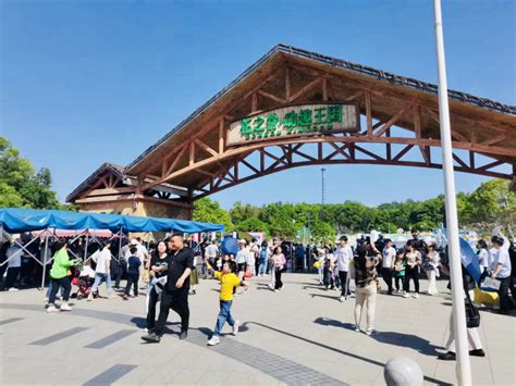 开福区“五一”旅游消费进账逾3000万元，同比增长29431 开福区 长沙晚报网