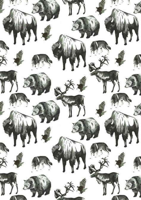 Wild Animal Patterns By Dionne