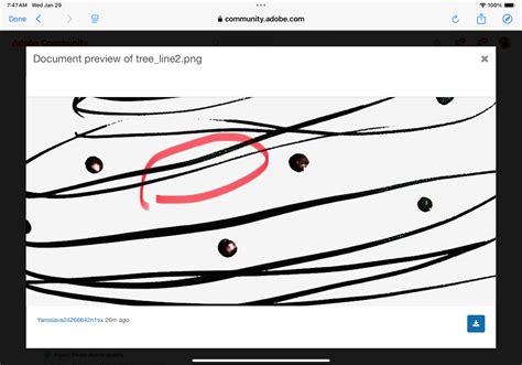 Rejected Due To Quality Adobe Community 15119467