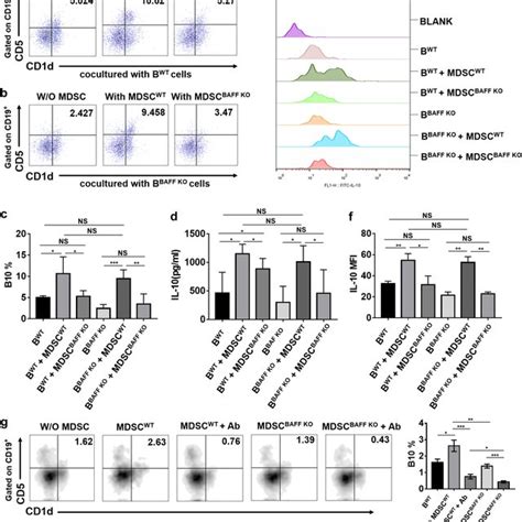 Mdscs Induce B10 Cell Differentiation Through Baff Baff R Pathway A B