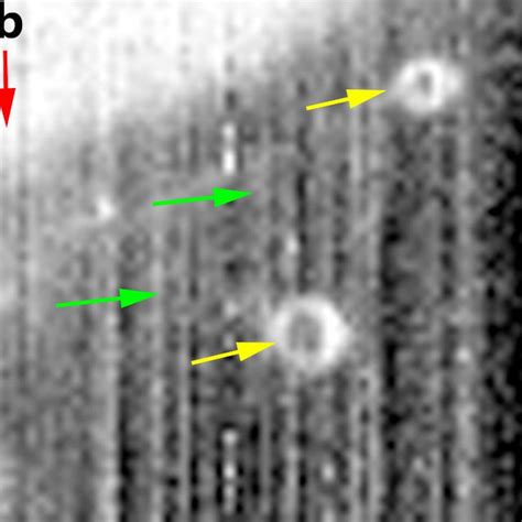 Lunar Soil Characterization Consortium Lscc Dataset Used In This