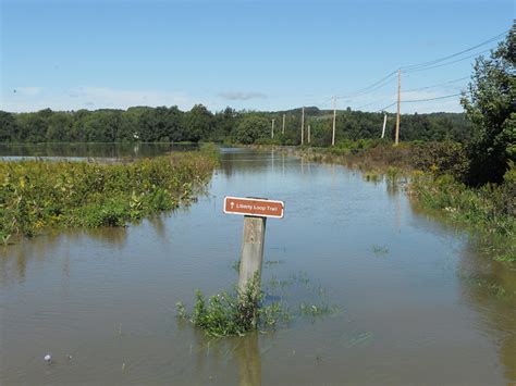 Water Damage How To Identify And Eradicate It My Green Home Blog