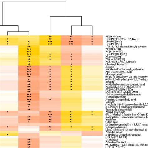 Correlation Analysis Of Amino Acids With Differential Metabolites