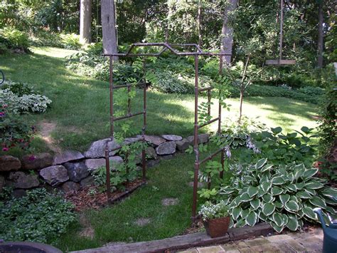 Plantpostings They Sleep Then Creep Then Leap