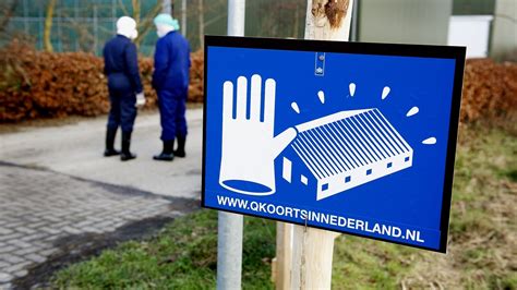 People Still Die From Chronic Q Fever Research At Umc Utrecht