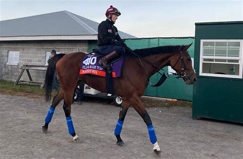 ブリーダーズカップフィリー＆メアターフ（g1） 2022115土 日程・結果 Jra Van World 海外競馬情報サイト