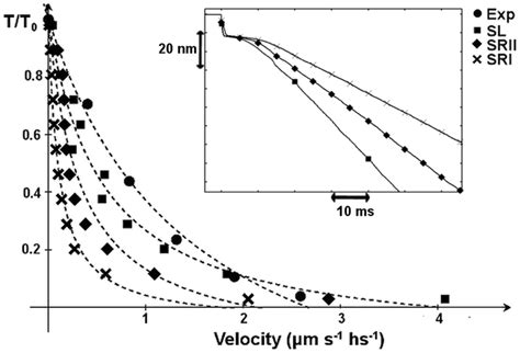 Isotonic Contraction Experiments Give The Force Velocity Curve Dashed Download Scientific