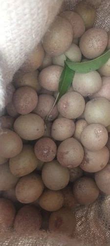 A Grade Chikku Fruit Packaging Type Gunny Bag Packaging Size 55kg