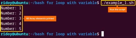 How To Use Bash “for” Loop With Variable 12 Examples Linuxsimply