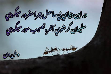 متن کامل شعر آهنگ در این دنیای بی حاصل چرا مغرور میگردی 🔴 با معنی وطن وی