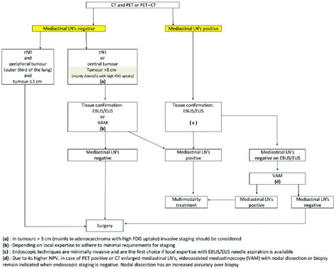 Revised Ests Guidelines For Primary Mediastinal Staging 2014 [2] Download Scientific Diagram