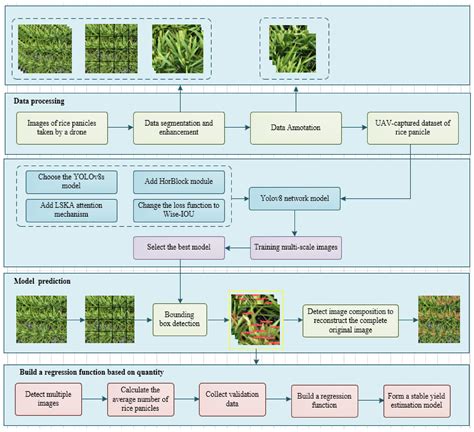 Agronomy Free Full Text A Precise Plot Level Rice Yield Prediction
