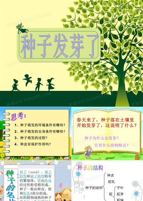 种子发芽了PPT模板下载 编号qkngmapy 熊猫办公