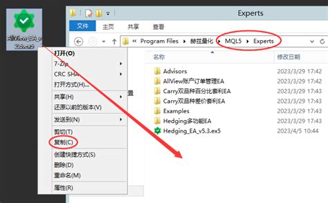 mt5入门：ea程序化交易软件安装及调用 mt5基础使用 eactp程序化交易社区 和仲科技 powered by discuz