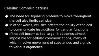 Cellular Reproduction PowerPoint By Magoos Science TPT