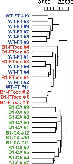 Figure W2 Unsupervised Hierarchical Clustering Of Cases Using All
