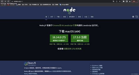 Mac 安装 Nodejs 及环境配置mac Nodejs Csdn博客 Mac 安装 Nodejs 及环境配置mac Nodejs Csdn博客