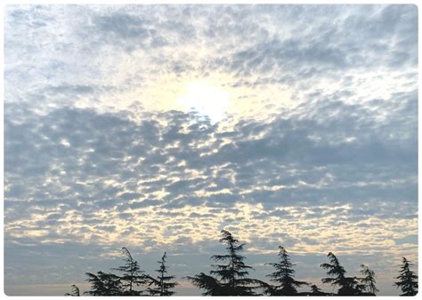 朝の空に鱗雲 ゆるくまったり 自分に還る