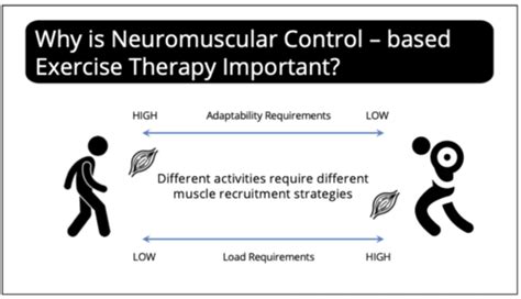 527 Neuromuscular Exercise Flashcards Quizlet