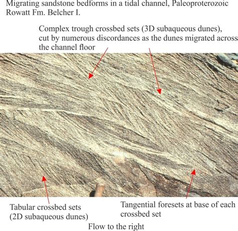 Tidal Flat Structures Archives Geological Digressions