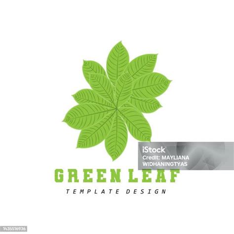 Daun Hijau Tanaman Desain Daun Pohon Produk Merek Template Ilustrasi Ilustrasi Stok Unduh