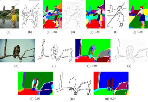 edge maps and segmentation results a input image b canny edge