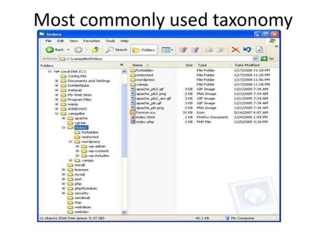 Taxonomies And Metadata Ppt