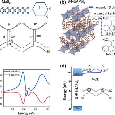 Broadband Transient Absorption Spectra Of S Neapbi 3 Mos 2