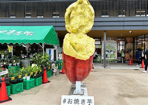 道の駅常総で買うべき焼き芋干し芋行列のメロンパン土産6選 五島商店 佐藤の芋屋