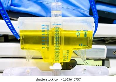 Urine Output Images Stock Photos D Objects Vectors Shutterstock