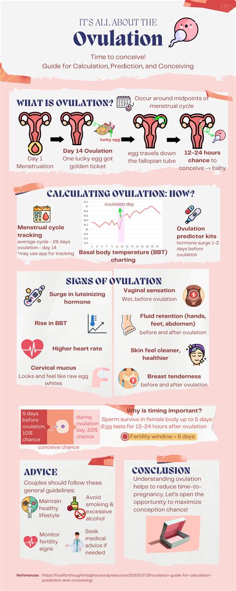 Unlocking The Secret Of Ovulation Guide For Calculation Prediction