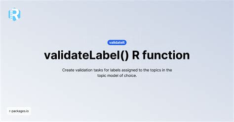 Validatelabel R Function From Validateit R Packages