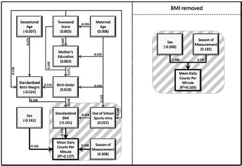 Path Diagrams Showing The Direct And Indirect Predictors Of Total Pa