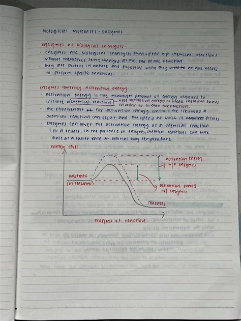 Combined Science Biology O Level Notes Hobbies And Toys Books