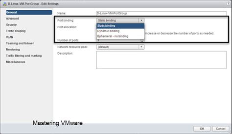 Distributed Switch Security Settings Mastering VMware