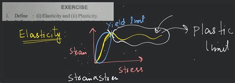 EXERCISE Define I Elasticity And Ii Plasticity Filo